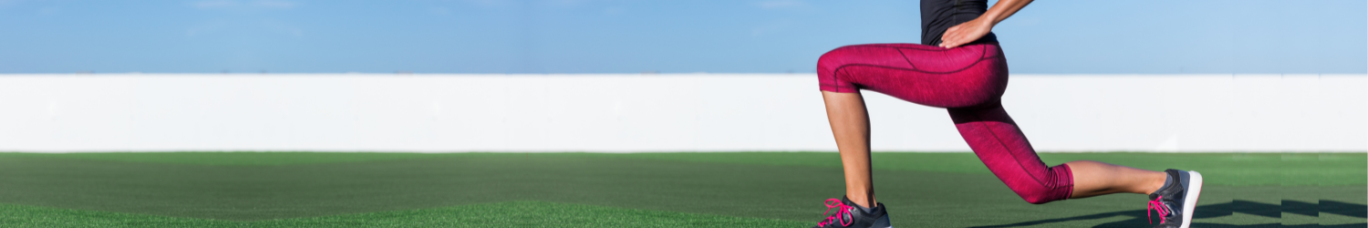 Functional Fitness Program - Athletic Evolution SPT