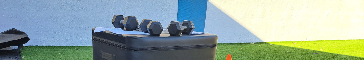 Sports Performance Coach/Personal Trainer Position - Athletic Evolution SPT